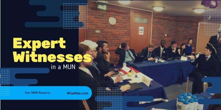 Using Expert Witnesses in a MUN Committee - WiseMee