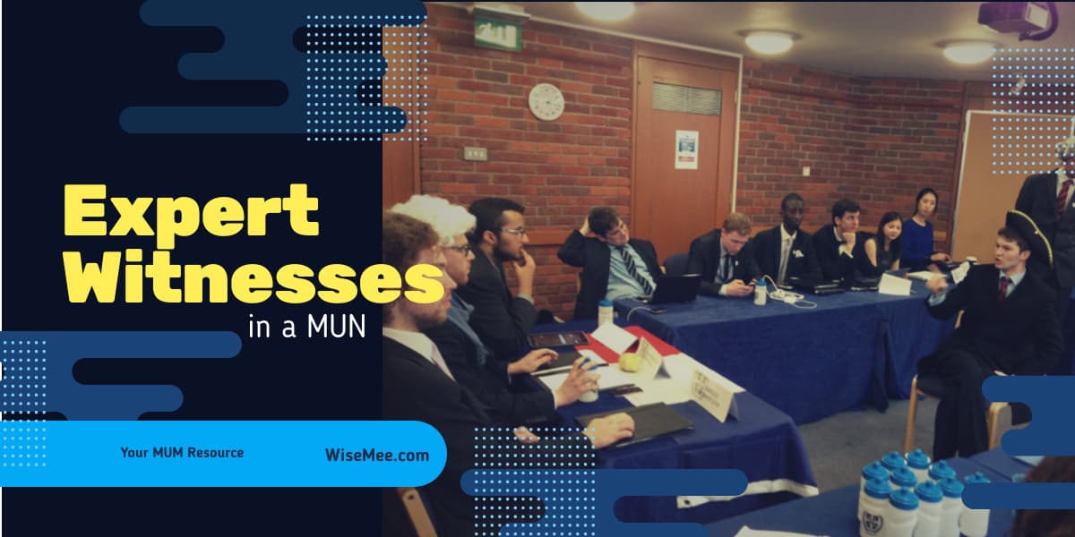 Using Expert Witnesses in a MUN Committee - WiseMee